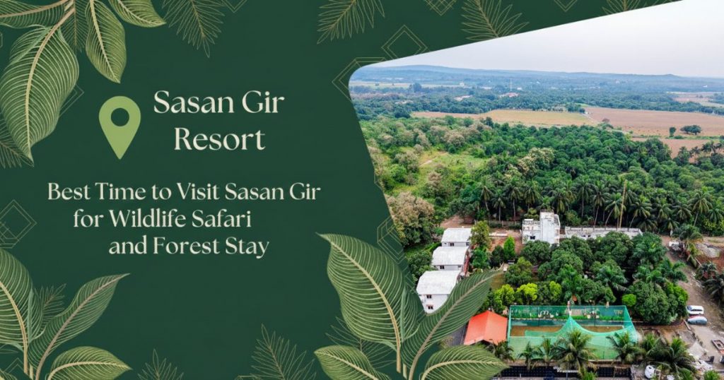 Best Time to Visit Sasan Gir for Safari & Stay